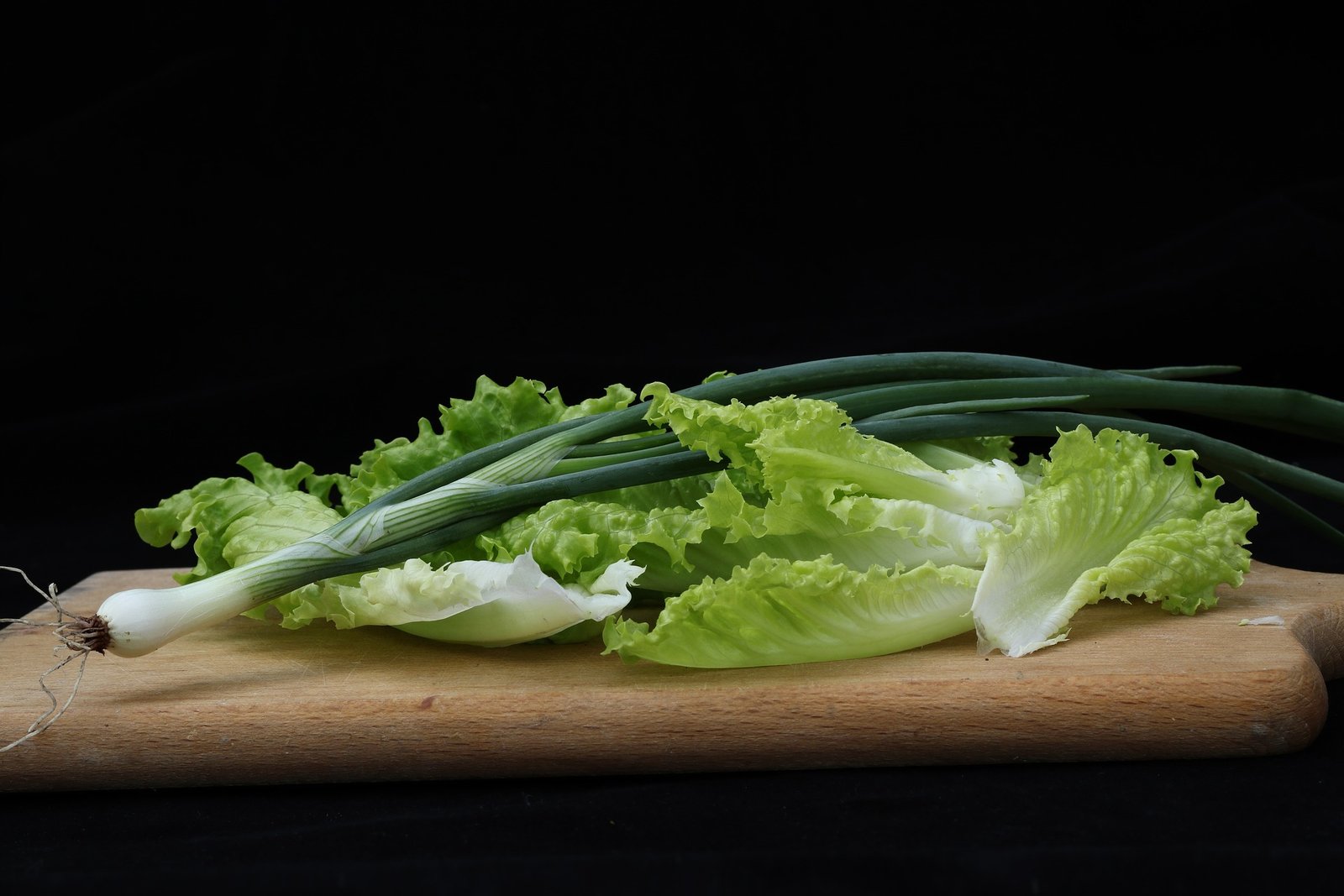 Hydroponic Romaine Lettuce: Grow Fresh, Crisp Lettuce At Home