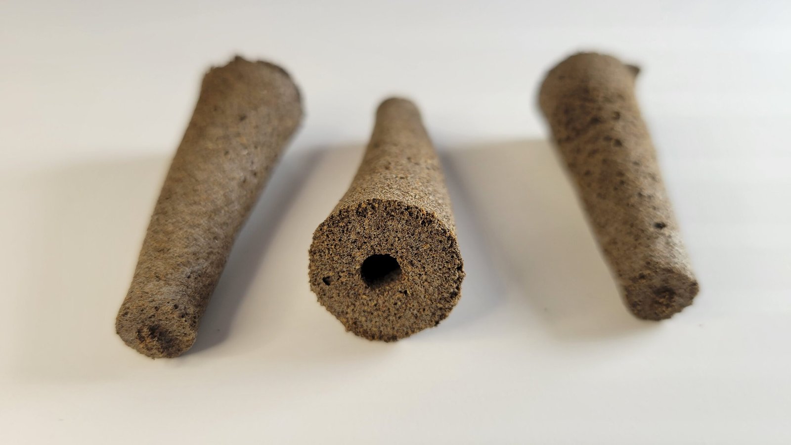 Best Growing Medium For Hydroponics: Uncovering the Best